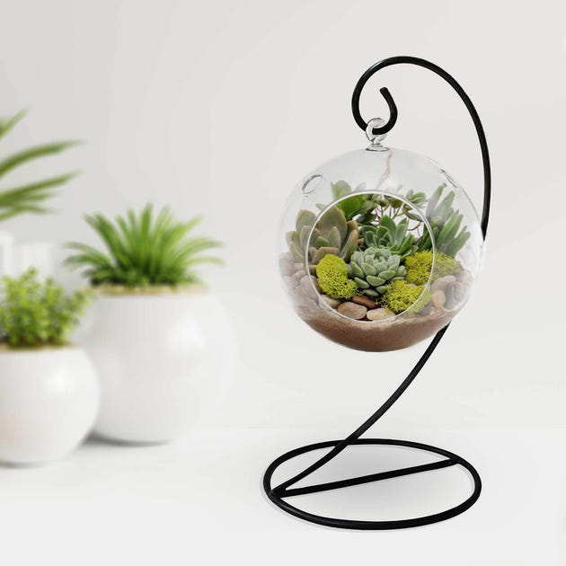 Clear Glass Globe Terrarium with Hanging Iron Stand – Planter & Candle ...