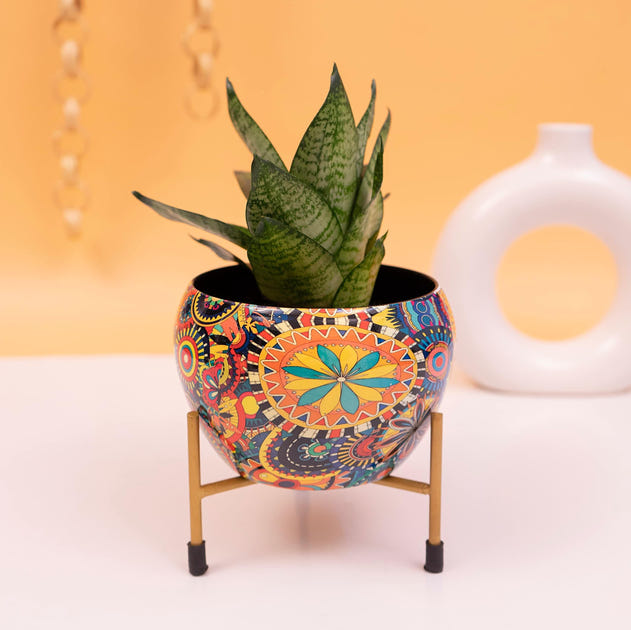 Radiant Multicolor Metal Pot with Stand – Trenly